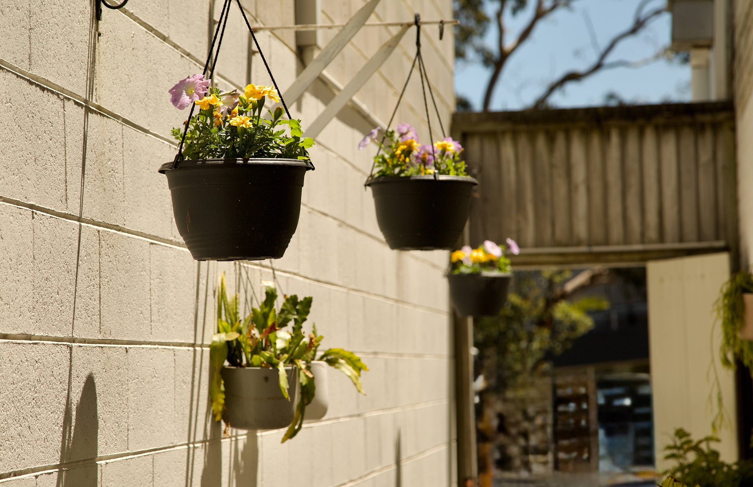 Courtyard Dining in Inverloch | Teepees Café & Bar | Teepees Café and Bar